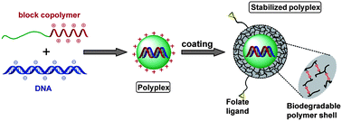 A mild and versatile approach for DNA encapsulation - Soft Matter (RSC ...
