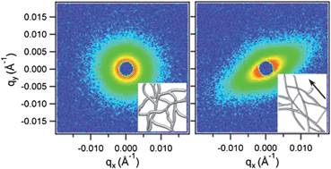 In situ neutron scattering study of structural transitions in fibrin ...
