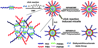 Reactive triblock copolymer micelles induced by click reaction: A ...