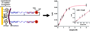 Supramolecular confinement of polymeric electron transfer mediator on ...