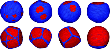 Buckling of multicomponent elastic shells with line tension - Soft ...