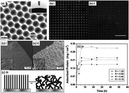 Design of conformal, substrate-independent surface modification for ...