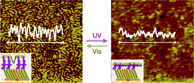 Direct visualization of molecular conformation changes - Soft Matter ...