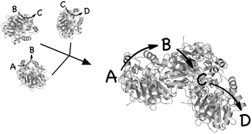 Multi-enzyme systems: bringing enzymes together in vitro - Soft Matter ...
