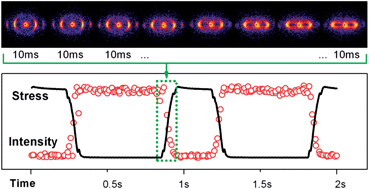 A real time SAXS study of oriented block copolymers during fast ...