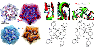 Molecular theory of solvation for supramolecules and soft matter ...