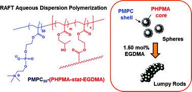 Non-spherical morphologies from cross-linked biomimetic diblock ...
