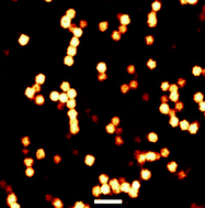 Polyhedral colloidal ‘rocks’: low-dimensional networks - Soft Matter ...