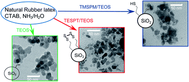 Rubber–silica nanocomposites obtained by in situ sol–gel method ...