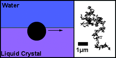 The mobilities of micro- and nano-particles at interfaces of nematic ...