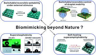 Extreme wettability and tunable adhesion: biomimicking beyond nature ...