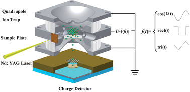 The development of charge detection-quadrupole ion trap mass ...