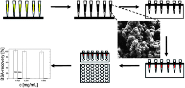 Amino-functionalized monolithic spin-type columns for high-throughput ...