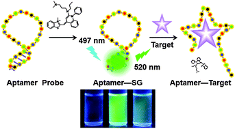 Label-free fluorescent assays based on aptamer–target recognition ...