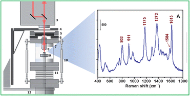 In situ Raman spectroscopy of surfaces modified by ion soft landing ...