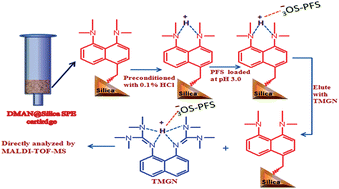 Proton sponge-functionalized silica as high performance adsorbents for ...