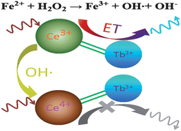 Selective detection of Fe2+ by combination of CePO4:Tb3+ nanocrystal ...