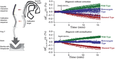 Biochip data normalization using multifunctional probes - Analyst (RSC ...