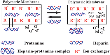 Polycation-sensitive membrane electrode for determination of heparin ...