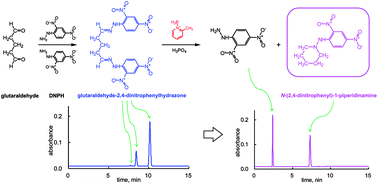 Reductive amination of glutaraldehyde 2,4-dinitrophenylhydrazone using ...