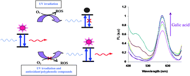 Antioxidant activity assay based on the inhibition of oxidation and ...