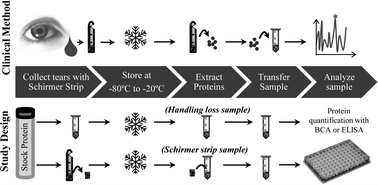 Post-collection processing of Schirmer strip-collected human tear fluid ...