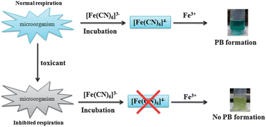 A novel colorimetric biosensor for monitoring and detecting acute ...