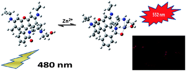 Turn-on fluorescent chemosensor for Zn(ii) via ring opening of rhodamine spirolactam and their ...
