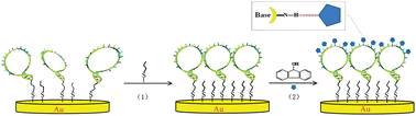 Electrochemical detection of 9-hydroxyfluorene based on the direct ...