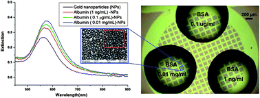 A facile and cost-effective TEM grid approach to design gold nano ...