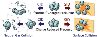 Impact of charge state on gas-phase behaviors of noncovalent protein ...