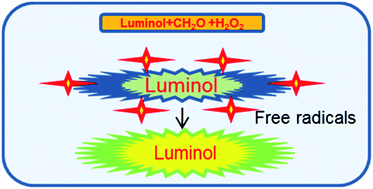 Detection of formaldehyde in food samples by enhanced chemiluminescence ...