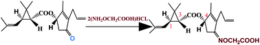 Stereoselectivity of an enzyme-linked, immunosorbent assay for S ...