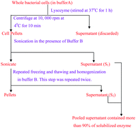 An improved protocol for rapid extraction of membrane enzymes from Gram ...