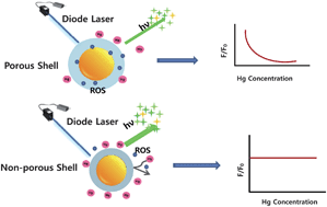 Fluorescence quenching of dye-doped core–shell nanoparticles by metal ...