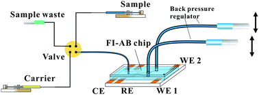 A polymeric dual-channel amperometric biosensor chip capable of ...