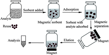 Application of magnetic molecularly imprinted polymers in analytical ...