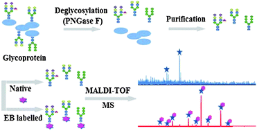 Chemical derivatization with a polycyclic aromatic hydrocarbon for ...