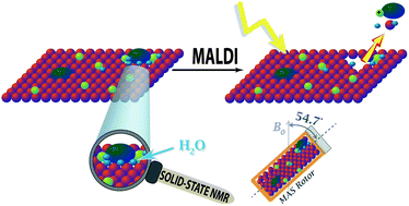 Towards the rationalization of the MALDI process: a combined mass ...