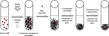 Cloud point extraction for the determination of trace amounts of Pt(iv ...