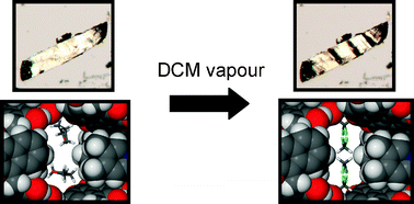Porous salts based on the pamoate ion - Chemical Communications (RSC ...