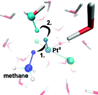 PtII as a proton shuttle during C–H bond activation in the Shilov ...