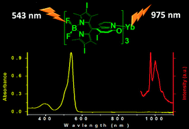 Iodized BODIPY as a long wavelength light sensitizer for the near ...