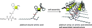Metal array fabrication through self-assembly of Pt-complex-bound amino ...