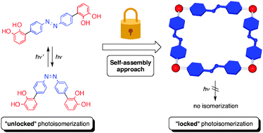 Photoisomerization locking of azobenzene by formation of a self ...