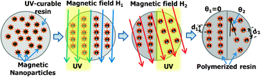 Lithographic compartmentalization of emulsion droplet templates for ...