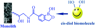 A benzoboroxole-functionalized monolithic column for the selective ...
