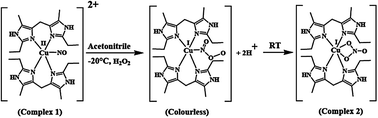 Reaction of a copper(ii)–nitrosyl complex with hydrogen peroxide ...