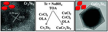 Syntheses and magnetic properties of Cr2Te3 and CuCr2Te4 nanocrystals ...