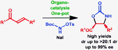Formal asymmetric enone aminohydroxylation: organocatalytic one-pot ...